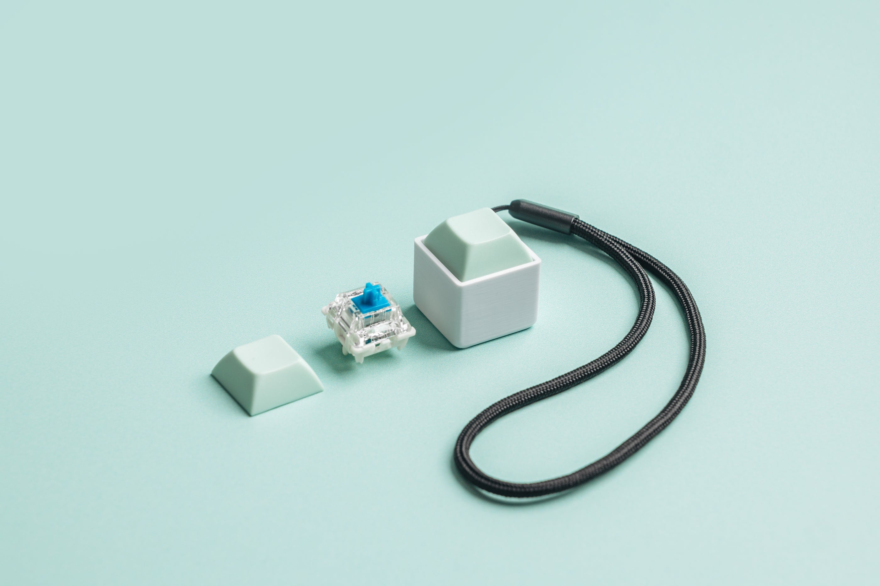 DIY Custom Keyboard Fidget Kits – Pacific Paradise Prints