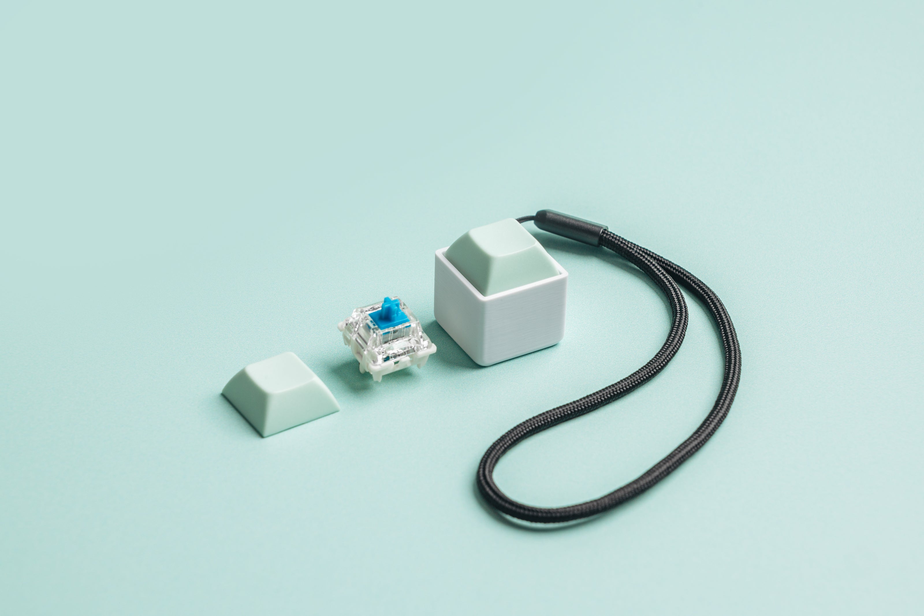 DIY Custom Keyboard Fidget Kits – Pacific Paradise Prints